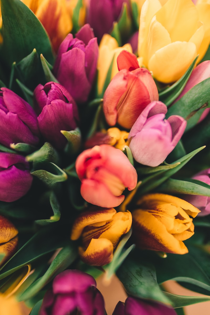 6 Ways to ReConnect and refresh this Spring - The Ten Minute Mom