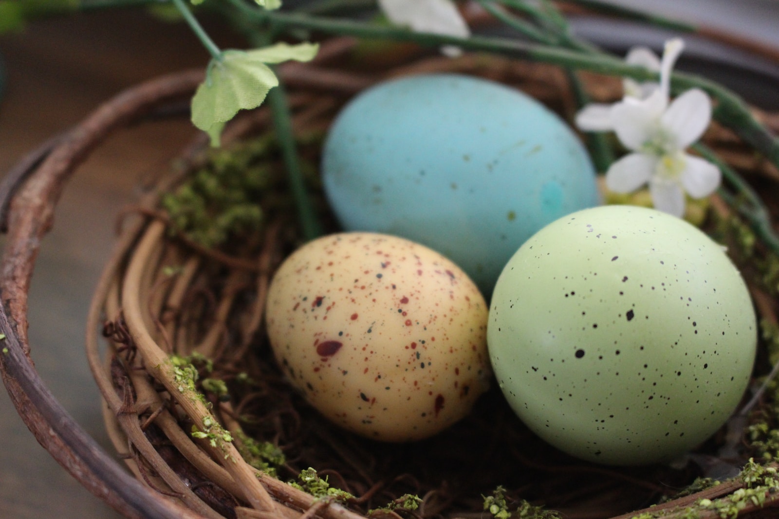6 Ways to Reconnect and Refresh this Spring